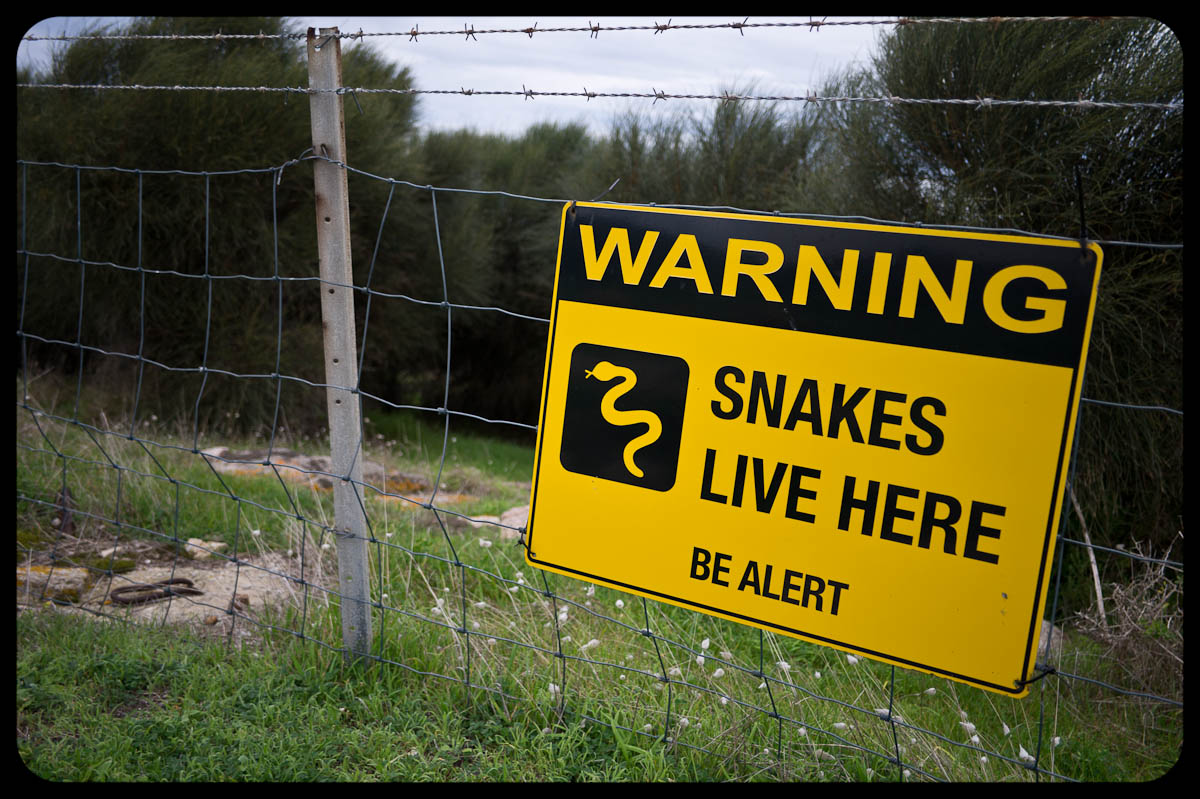 Szentes - Sydney motorral: a Kenguru-sziget - Hegylakók